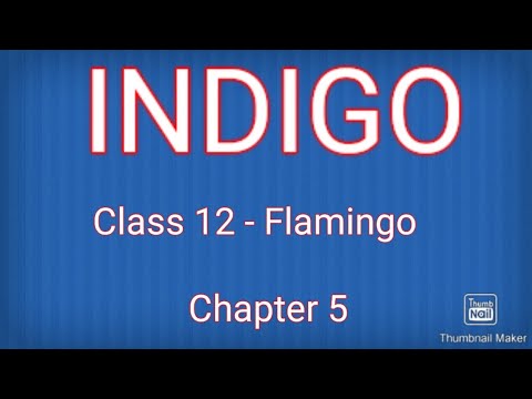 INDIGO|CLASS 12|CBSE|LESSON 5|Part 2| - YouTube
