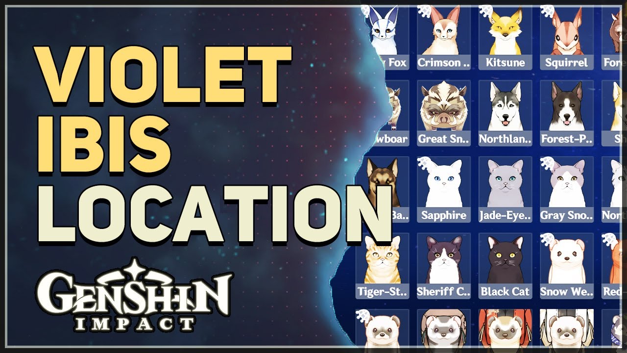 Violet Ibis Location Genshin Impact - YouTube