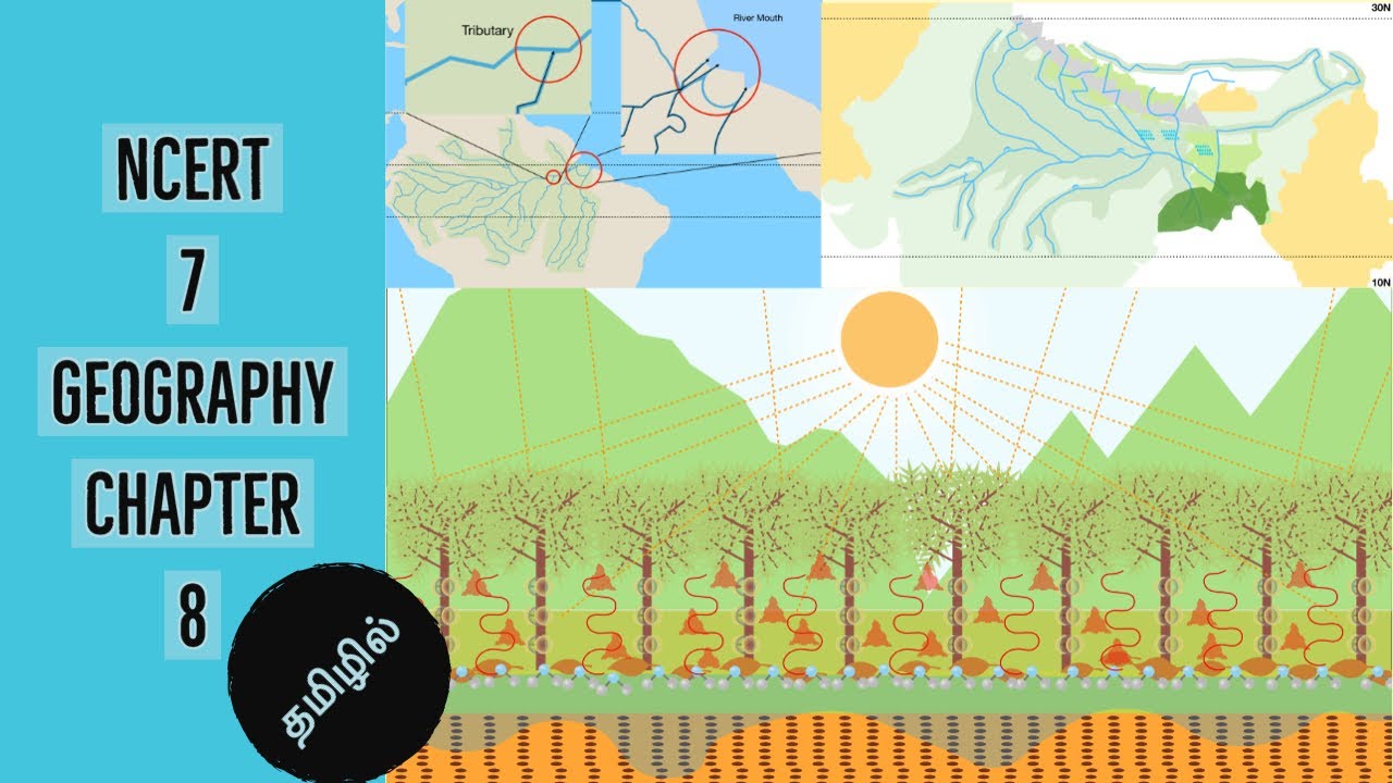 Class 7 Geography NCERT Chapter 8 I Human Environment Interactions ...