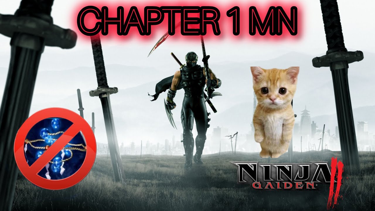 Ninja Gaiden ll (2) XBOX 360 Chapter 1 master ninja Base Health ...