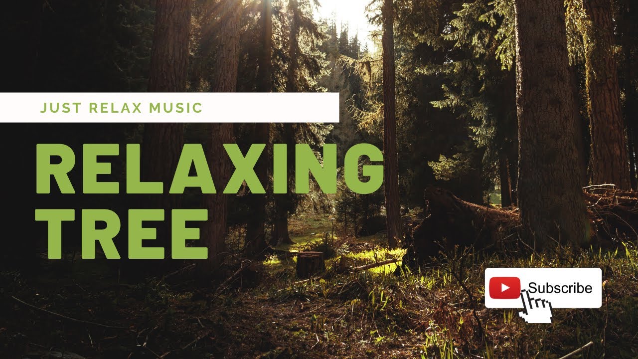 Just Relax Music - Relaxing Tree #guitar #relaxing #meditation #music # ...