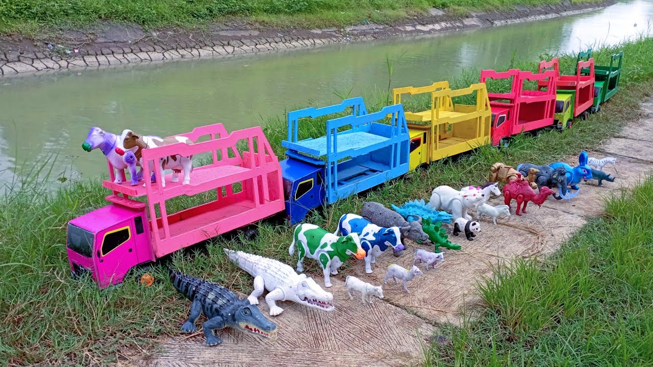 Truk Oleng Angkut Sapi Sapi Warna Warni Kerbau Buaya Kelinci Gajah ...