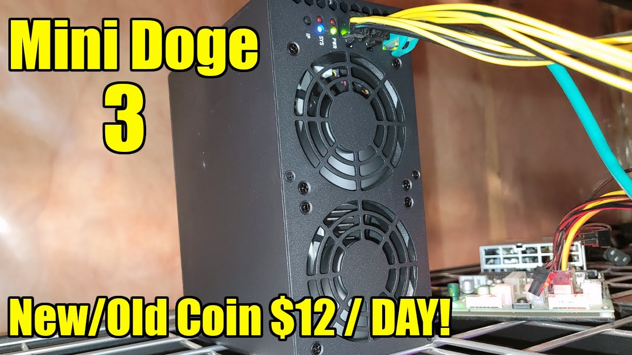Mini Doge 3 Comes Out Swinging At $12 / Day! (NEW COIN) - YouTube