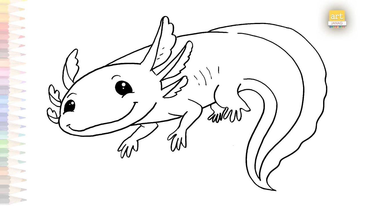 Axolotl drawing easy | Art tutorial | How to draw an Axolotl step by ...
