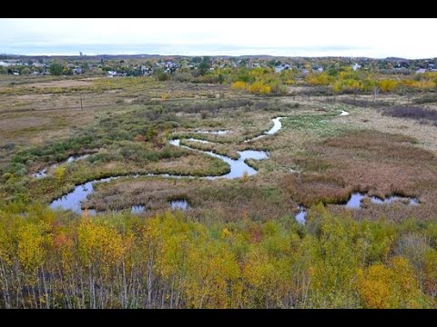 Hiking to lookout at Rotary park - YouTube