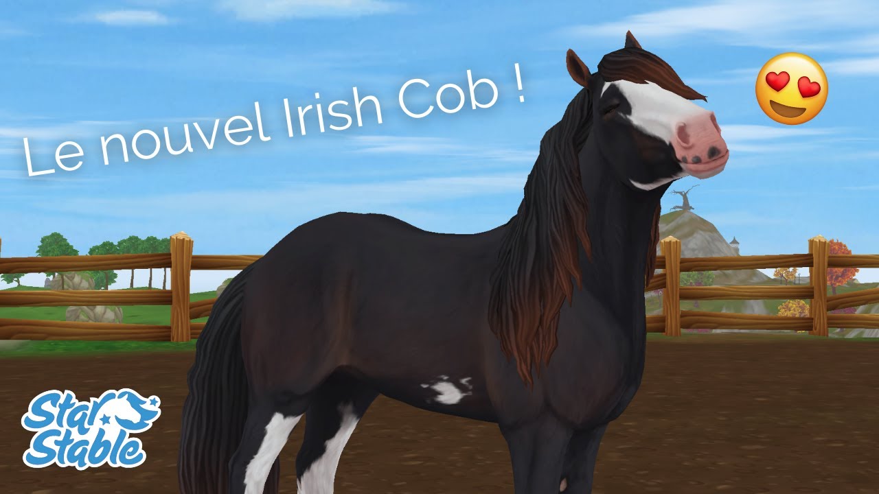 Achat du nouvel Irish Cob | SSO - YouTube