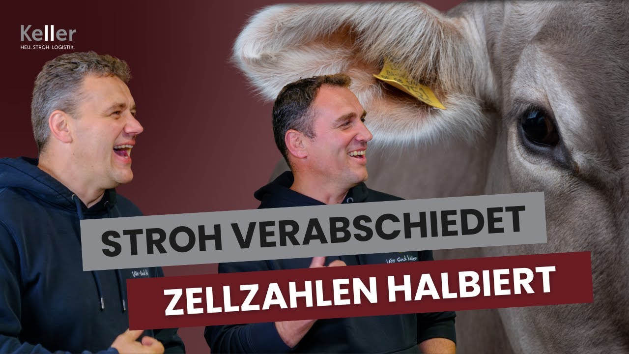 Stroh verabschiedet - Zellzahlen halbiert - YouTube
