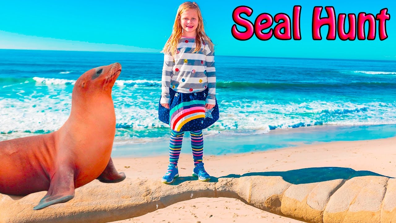 ASSISTANT Animal Hunt Surprise Seal Beach Hunt Video - YouTube