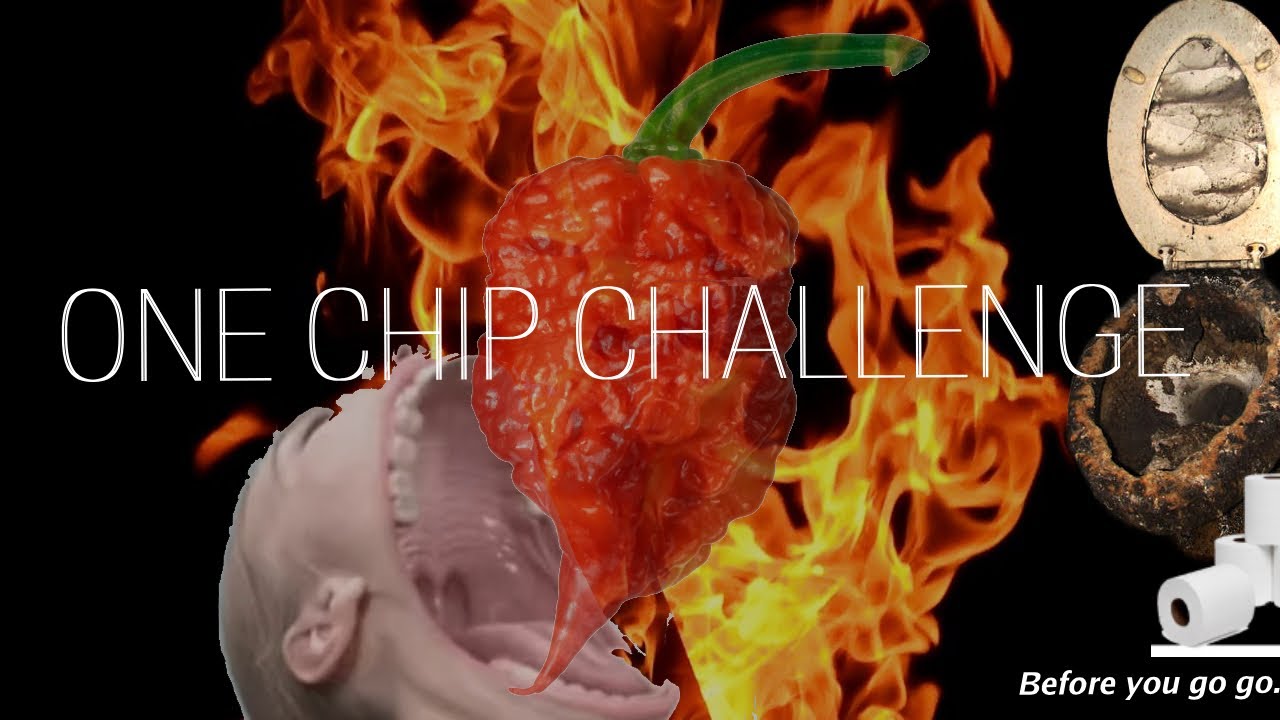 The Chip Destroyer | My Experience - YouTube