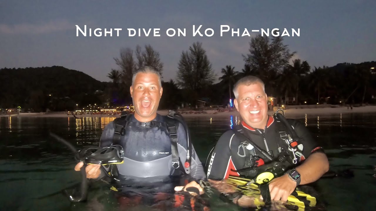 Night dive on Koh Phangan, Thailand - YouTube