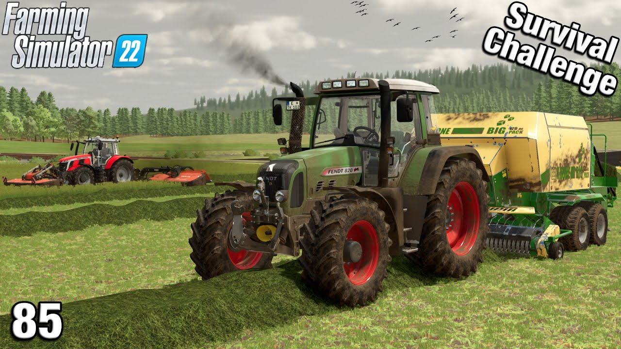 FIRST CUT OF THE EXTENDED GRASSLAND Survival Challenge FS22 Hinterland ...
