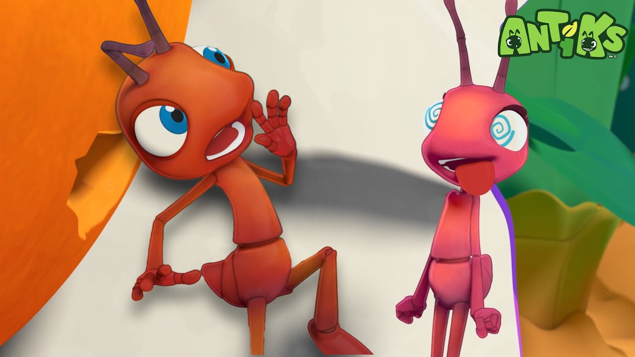 Sugar Rush | Animals for Kids | Animal Cartoons | Funny Cartoons ...