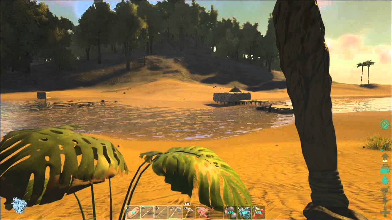 How To Tame A Fish - YouTube