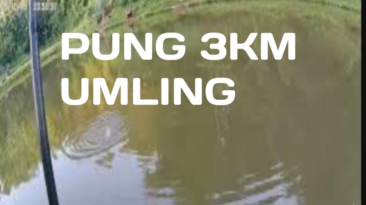 PUNG 3KM UMLING RIBHOI FISHING POND 🎣 PH NO TRAI PUNG 9862325786 - YouTube