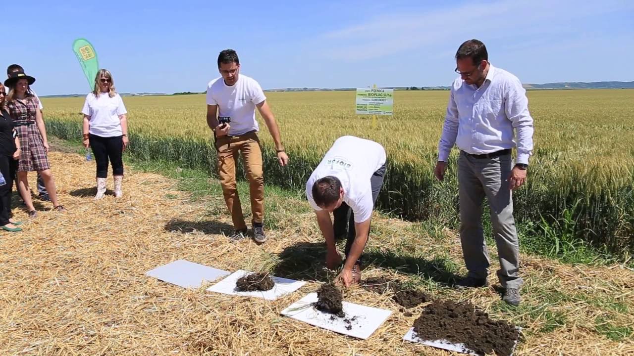Dan polja kompanije Biofor System - U nasem ataru 644 - YouTube