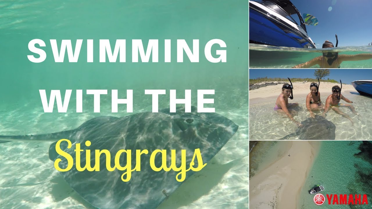 Swimming With Stingrays in Bimini With The Yamaha 212X - YouTube