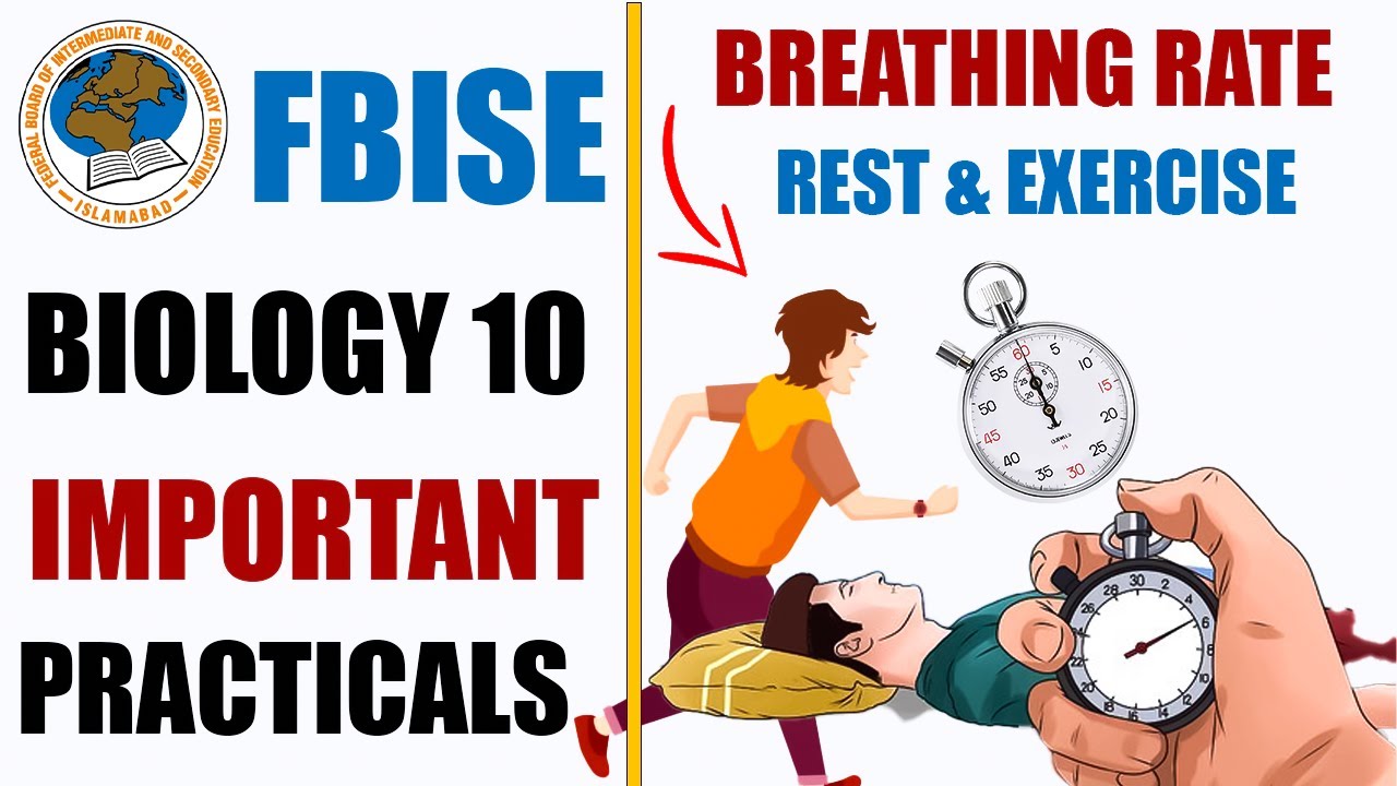 Biology 10 Important Practical |Breathing Rate - YouTube
