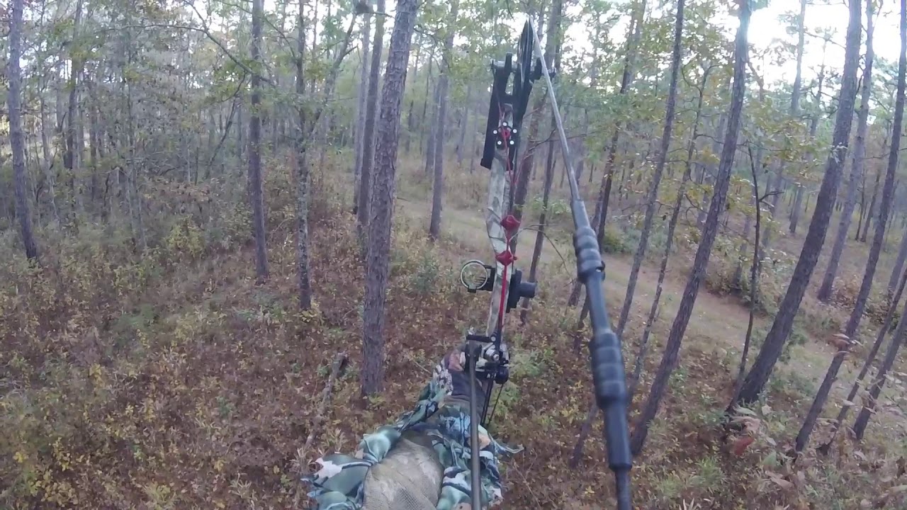 2017 Archery Hog: South Carolina (Turn up the volume on this one) - YouTube