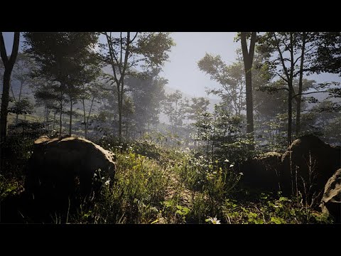 Unreal Engine 5 Procedural Forest [PCG] - YouTube