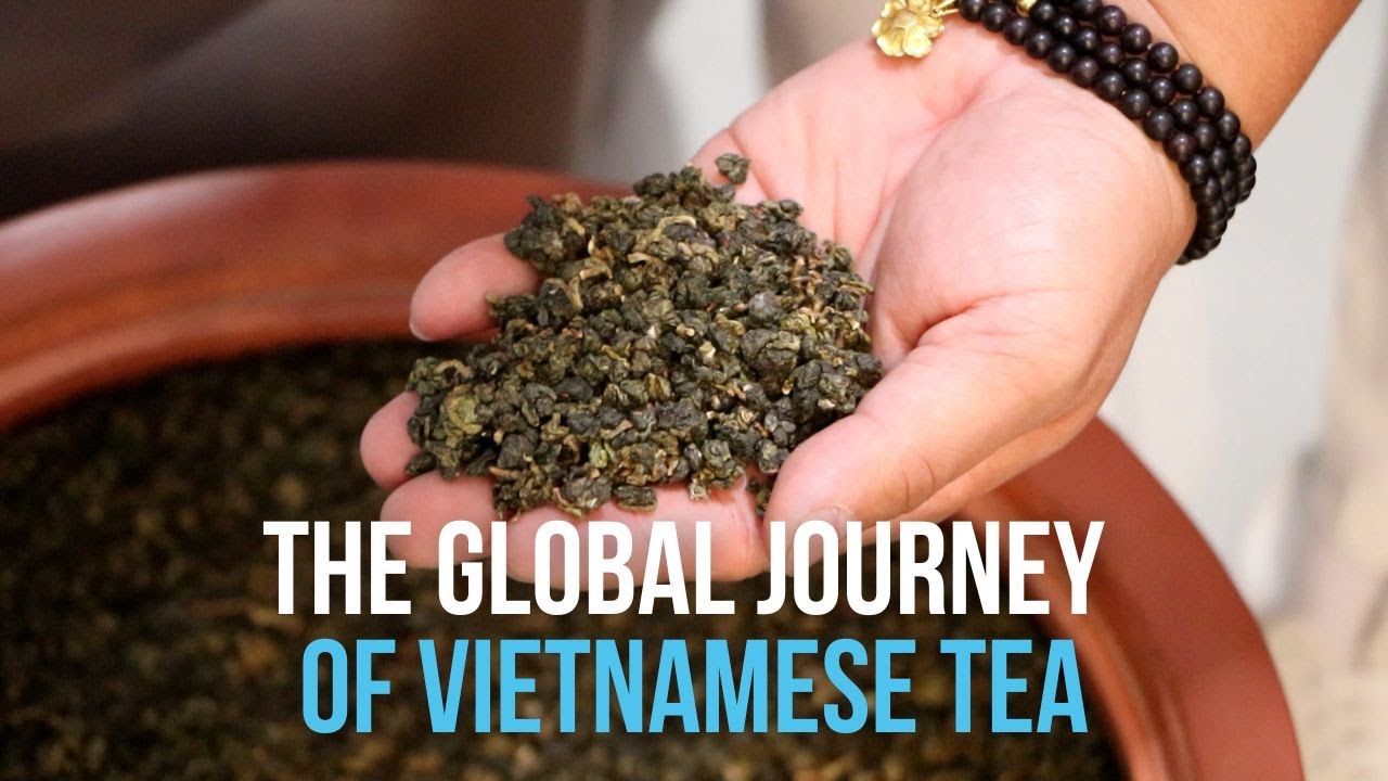 The global journey of Vietnamese tea | Hành trình cây chè Việt Nam ra ...