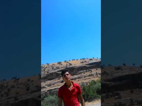 Müpto baba ve miçe baba merhaba merhaba