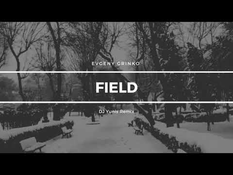 Evgeny grınko fıeld remix
