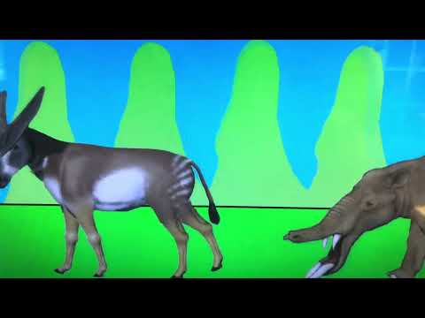 Cenozoic Size Comparison By zippyzoomy