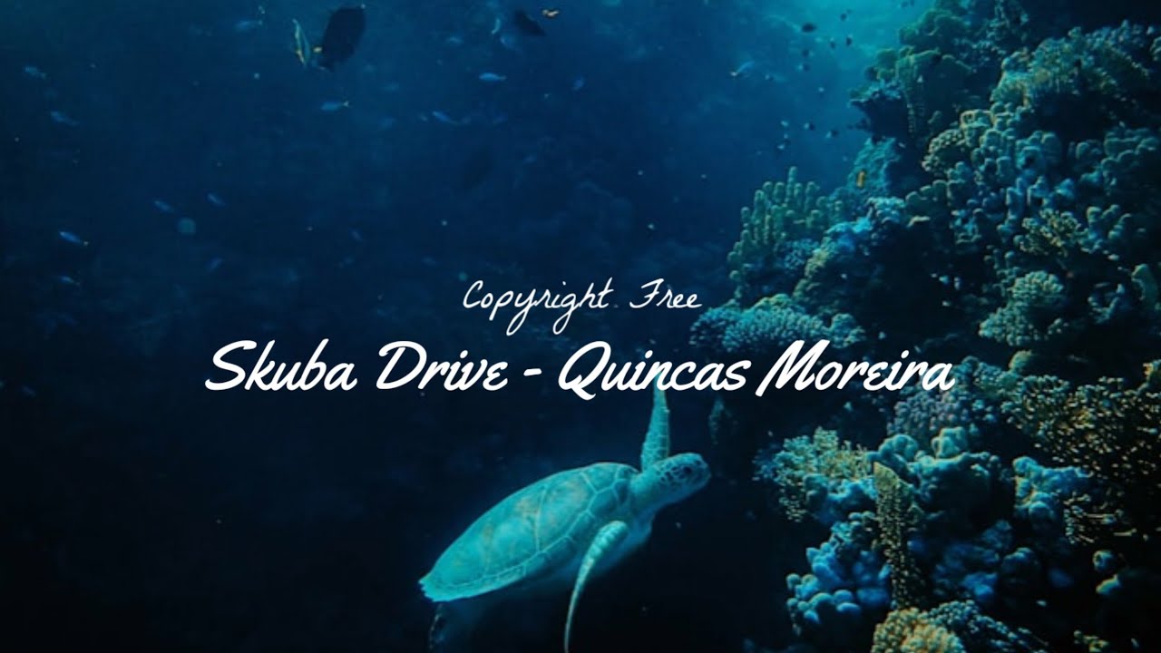 Skuba Drive - Quincas Moreira | No Copyright Music - YouTube