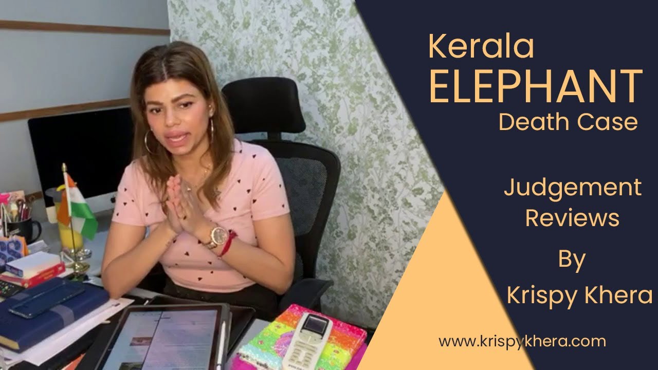 Krispy Khera: Kerala Pregnant Elephant Death | Demands Strict Action by Social Worker Krispy ...