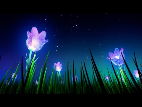 Ruhunuzu, Zihninizi ve Bedeninizi İyileştirecek Müzik • 5 Dakikada Anında Uyuyun | Derin Uyku Müziği