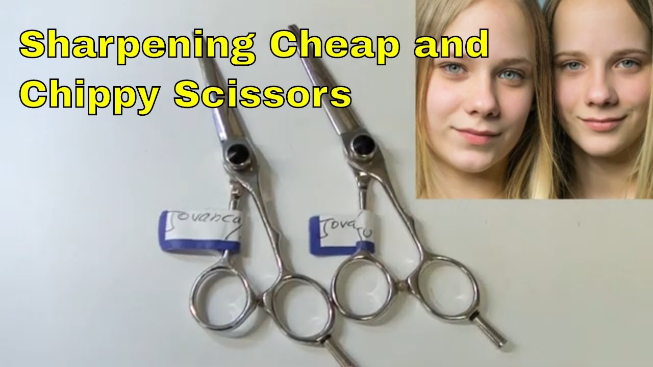 Badly Chipped Shears Sharpening Tutorial. Can these shears be saved ...