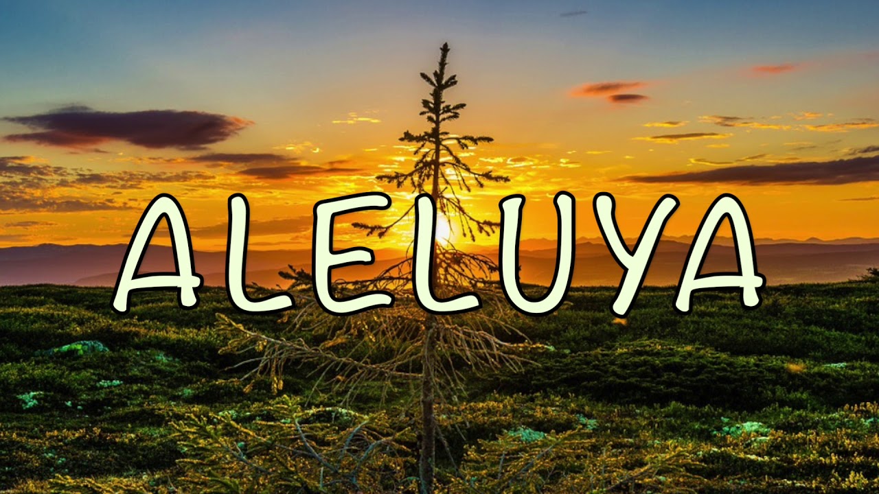 ALELUYA - ALABANZA DE ADORACION - YouTube