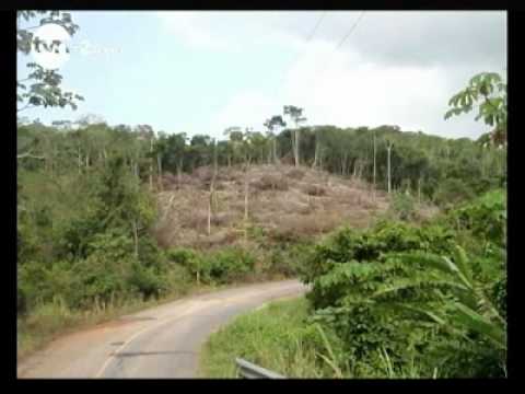 TVN Noticias Entrvista a Directora Ejecutiva de ANCON - Alida Spadafora ...