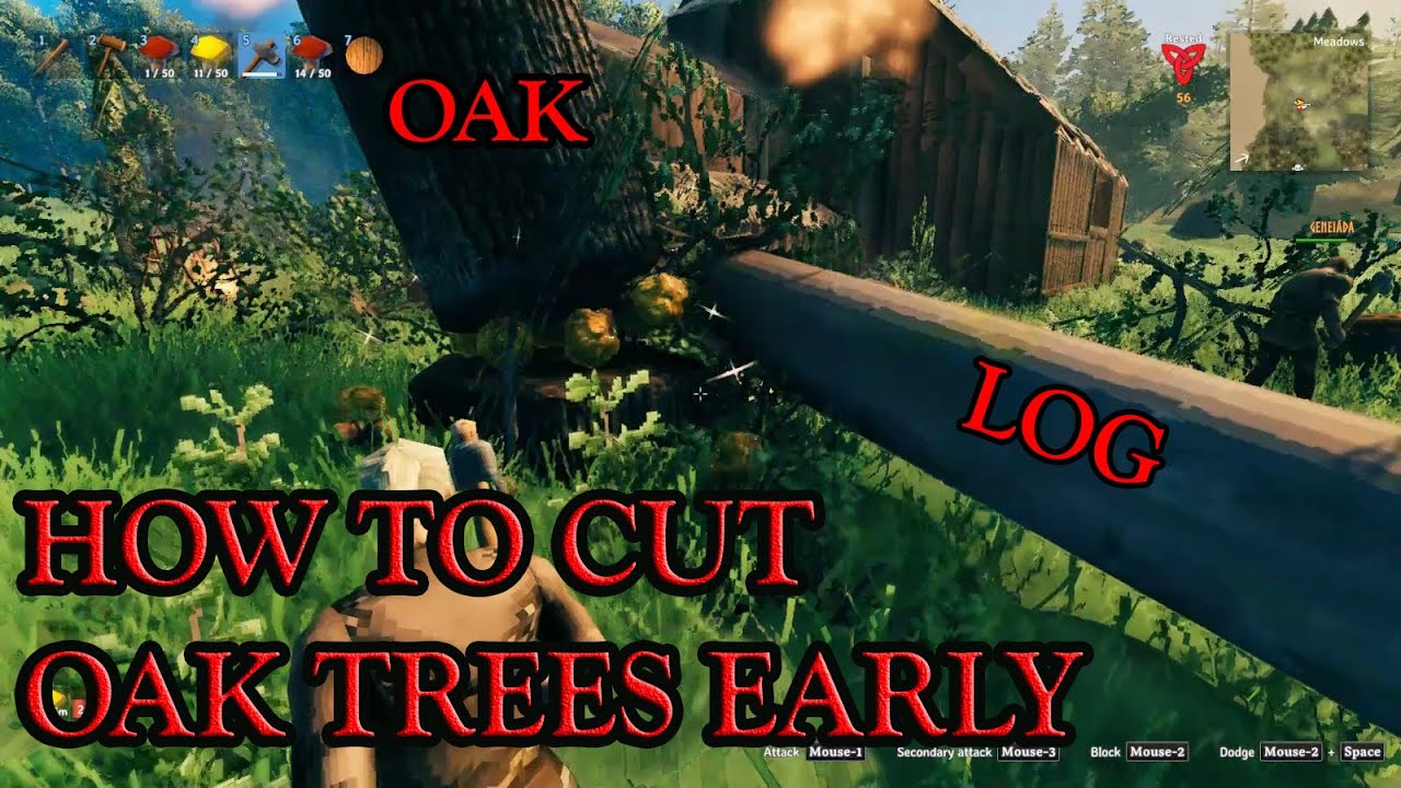 TRICKS ON HOW TO CUT OAK TREES EARLY IN VALHEIM - YouTube
