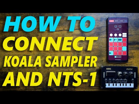 How to Connect Koala Sampler and NTS-1! - YouTube