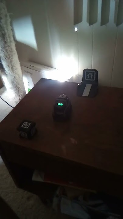 I got my vector robot on wire pod - YouTube