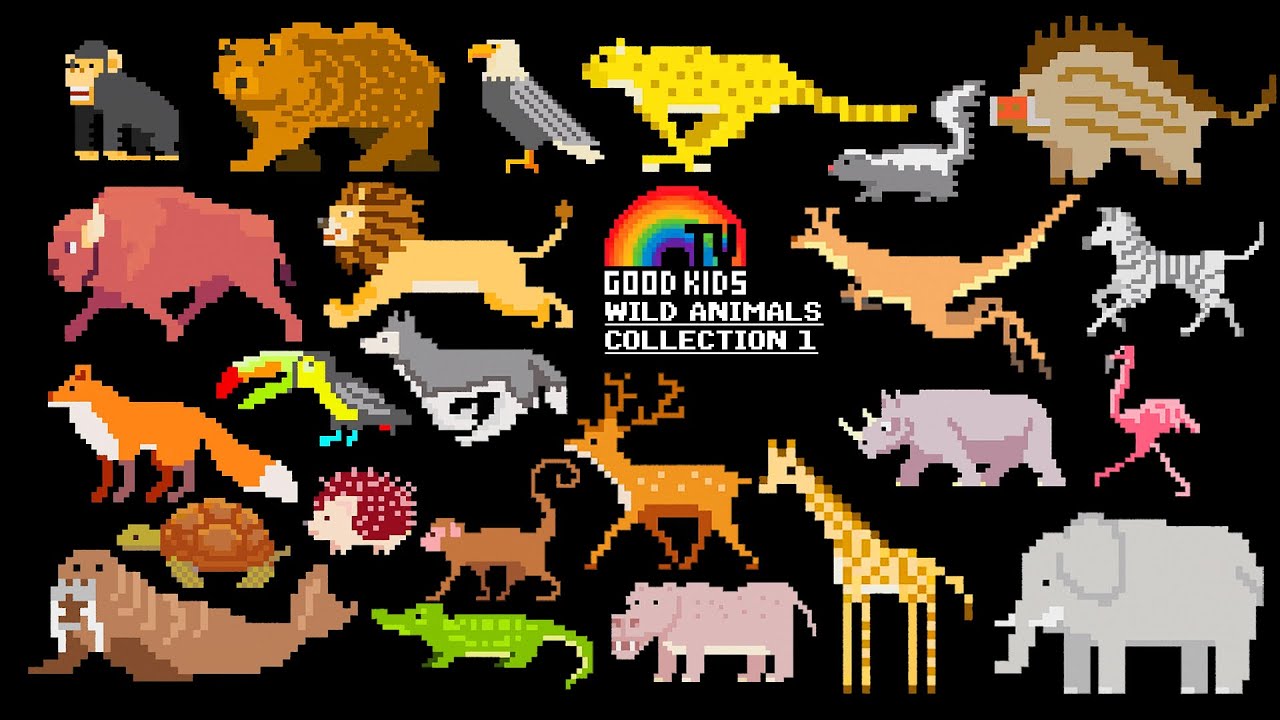 Learn Wild Animal Names with Cute and Funny Animals Collection1I Good ...