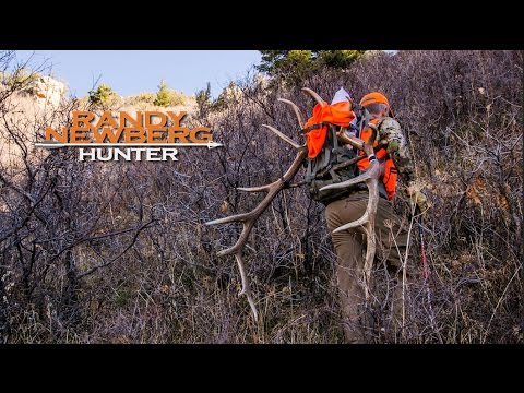 DON'T SHOOT AN ELK HERE ! - Randy Newberg, Hunting Colorado elk - YouTube