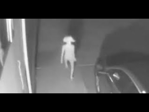 "Top 10 Mysterious Creatures Caught on Camera: Real or Mythical?" - YouTube