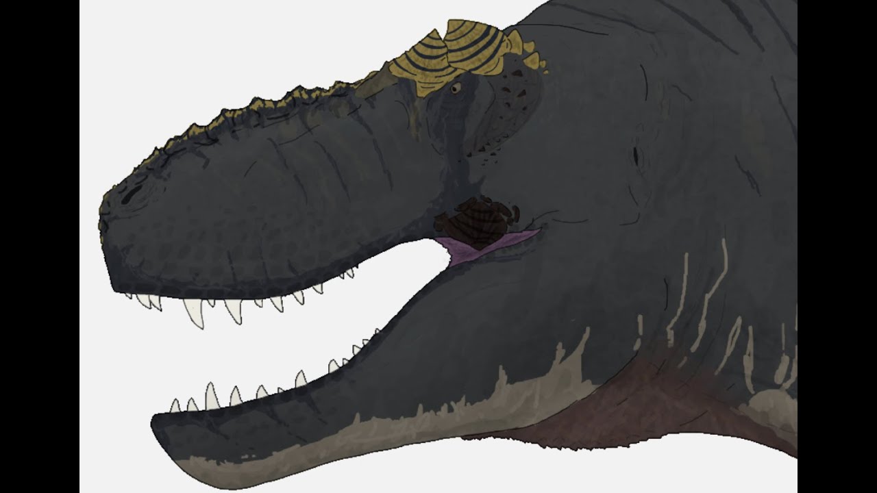 Tyrannosaurus rex Reconstruction Breakdown - YouTube