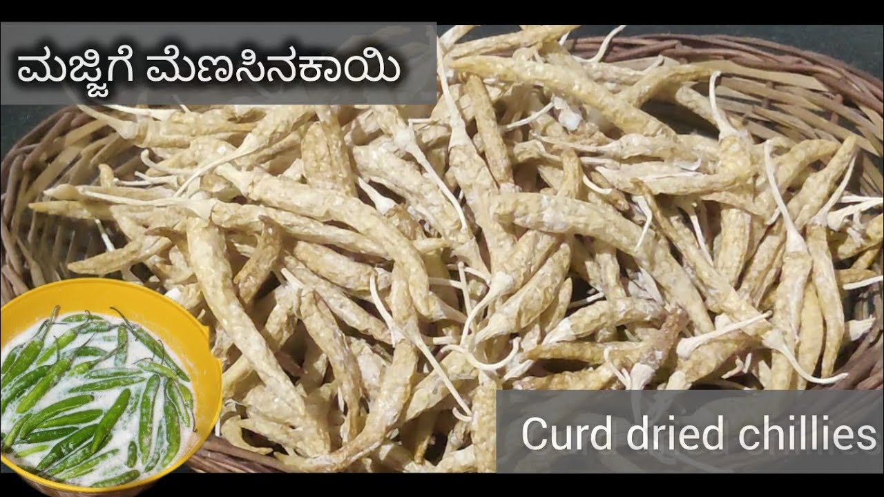 ಮಜ್ಜಿಗೆ ಮೆಣಸಿನಕಾಯಿ/ಬಾಳಕದ ಮೆಣಸಿನಕಾಯಿ/Curd dried chillies - YouTube