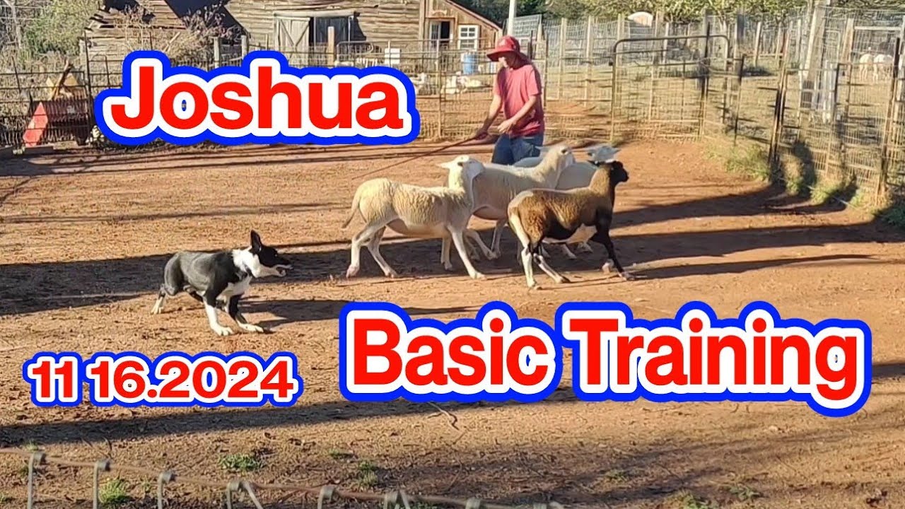 Joshua Basic training 11.16.2024 - YouTube