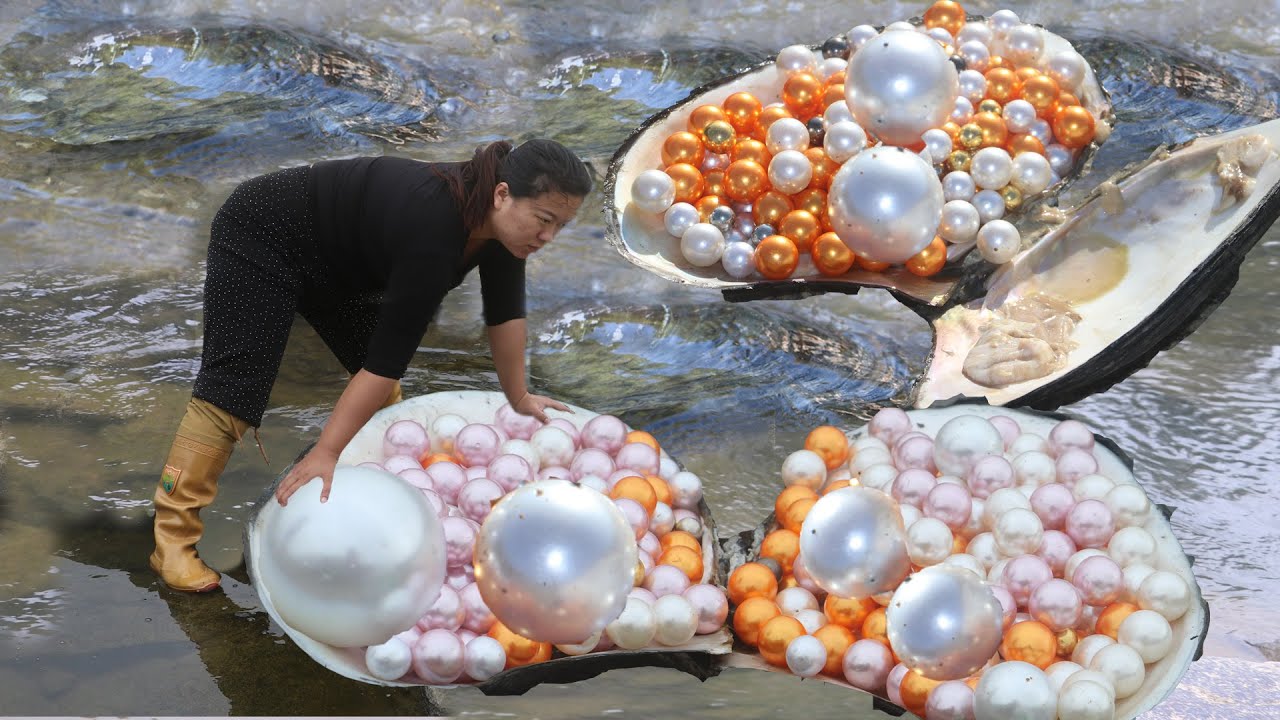 😱panic, this is the largest pearl shell I have ever seen and the pearls ...