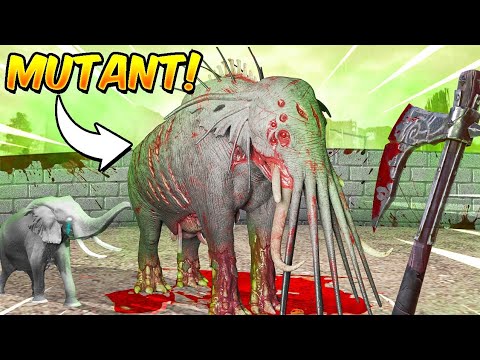 THIS ZOO IS CURSED!! - YouTube