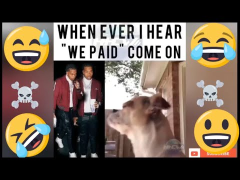 10 Min Of Hood Vines Compilation 2020 V18