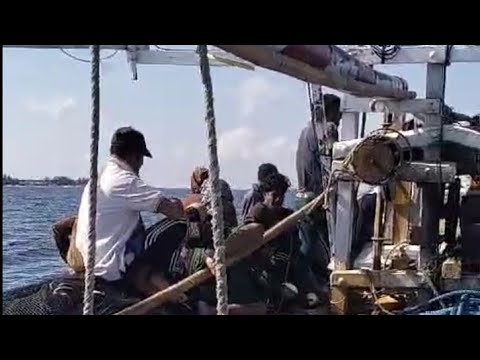 Nelayan Parengge Bersama Patorani Telur Ikan 23 - YouTube