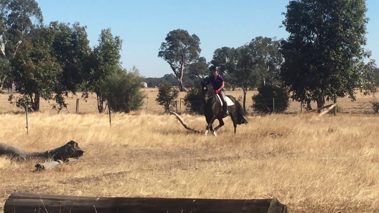 Sweetwater Banjo over logs - YouTube