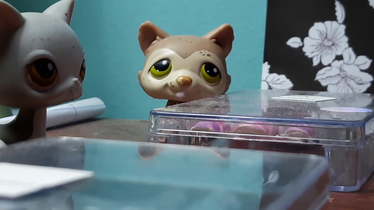 Lps brace face: episode 3 (hailey is jealous?) - YouTube