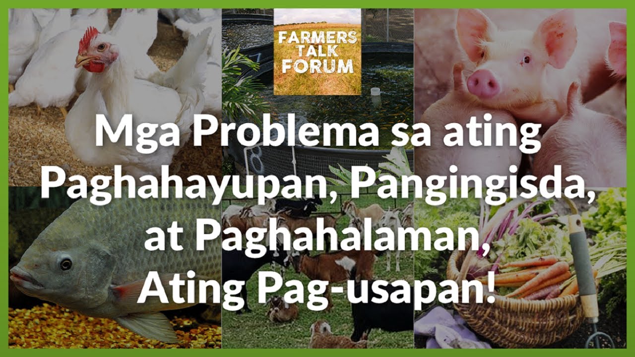 Farmers Talk Forum: Mga Problema sa Paghahayupan, Pangingisda, at ...