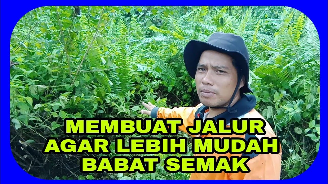 MEMBUAT JALUR SUPAYA LEBIH MUDAH MENEBAS SEMAK - YouTube